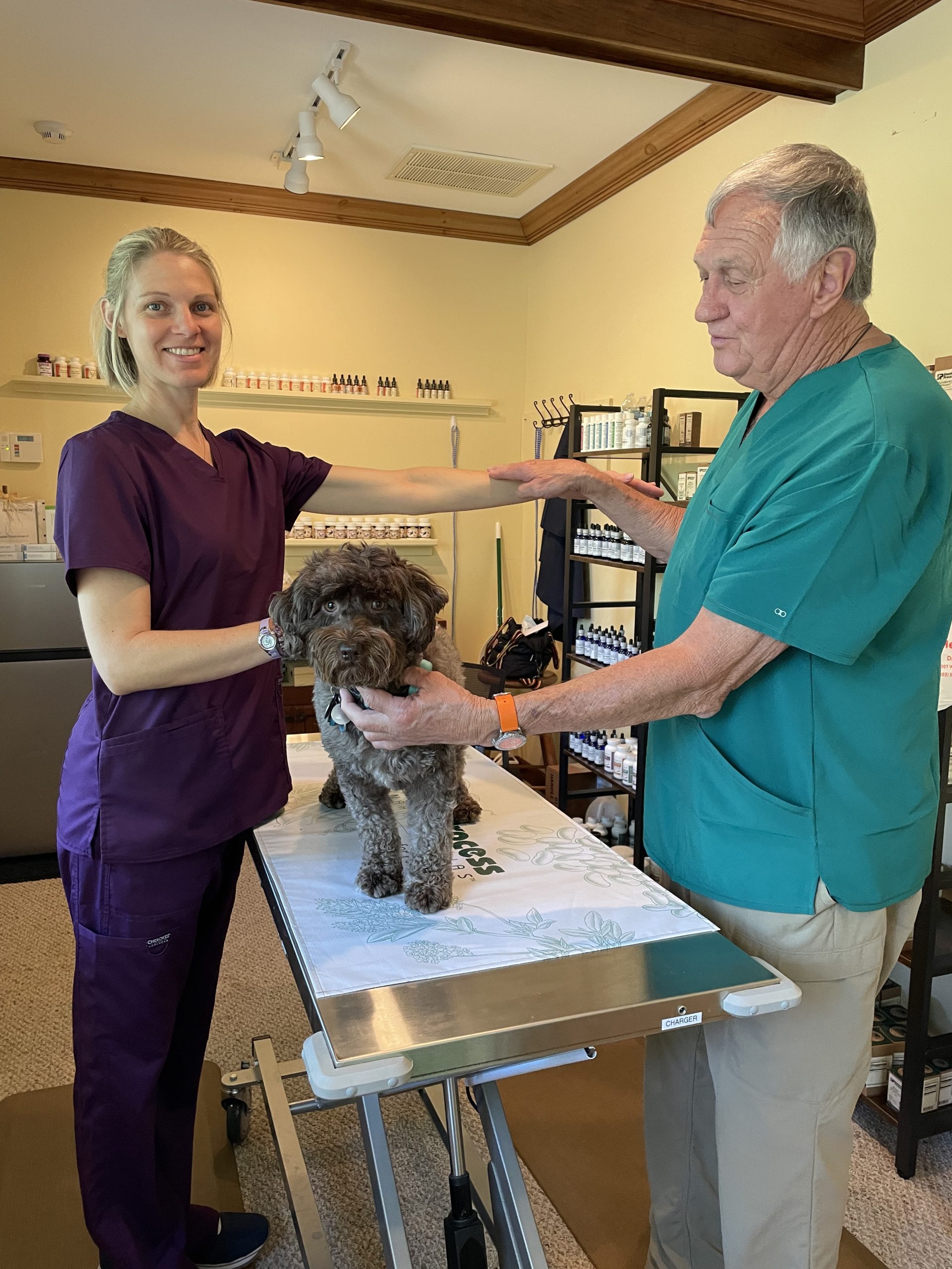 Services – Paws Health Wellness